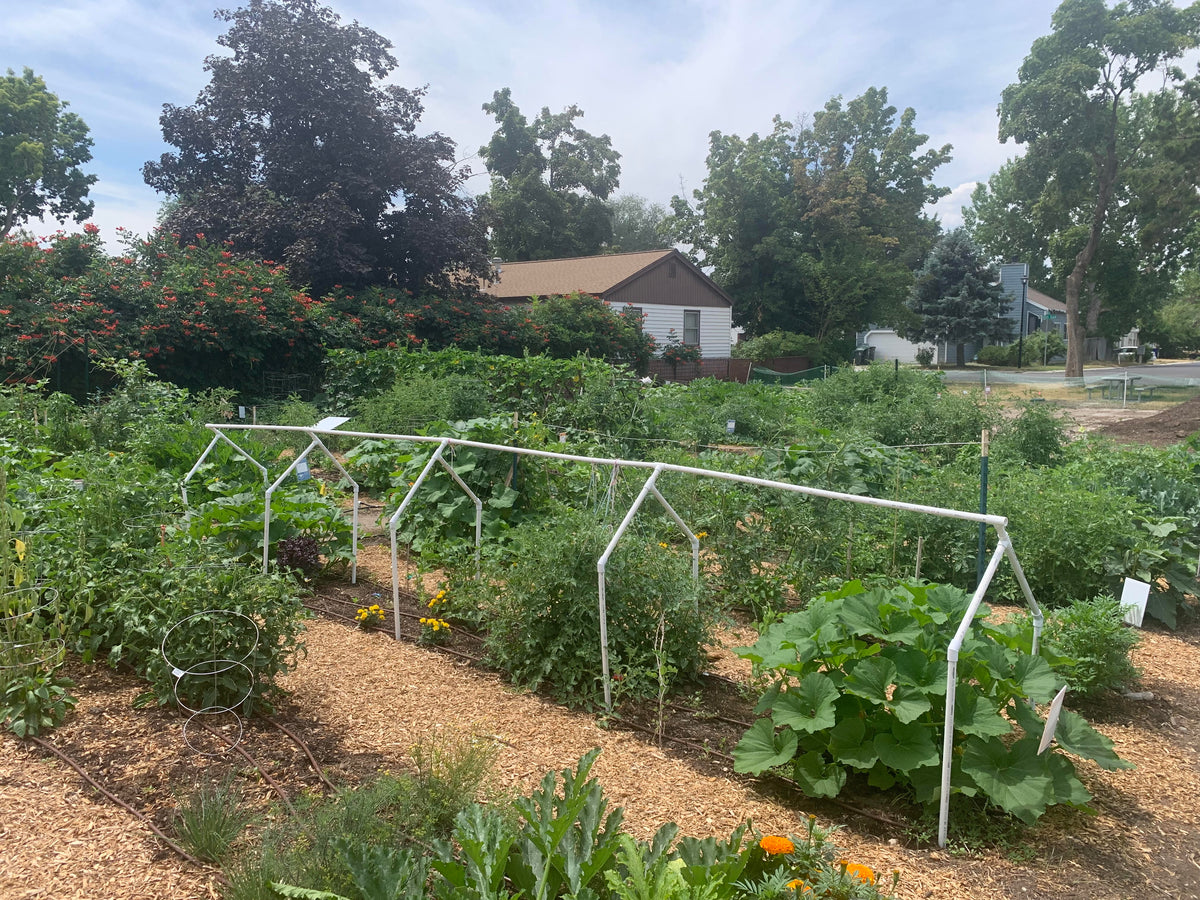 Wasatch Community Gardens – Snake River Seed Cooperative