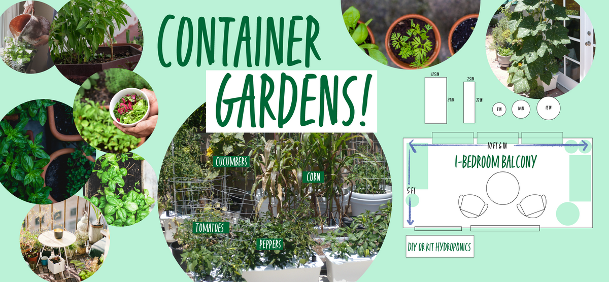 A Guide to Container Gardens & Indoor Garden Possibilities – Snake ...