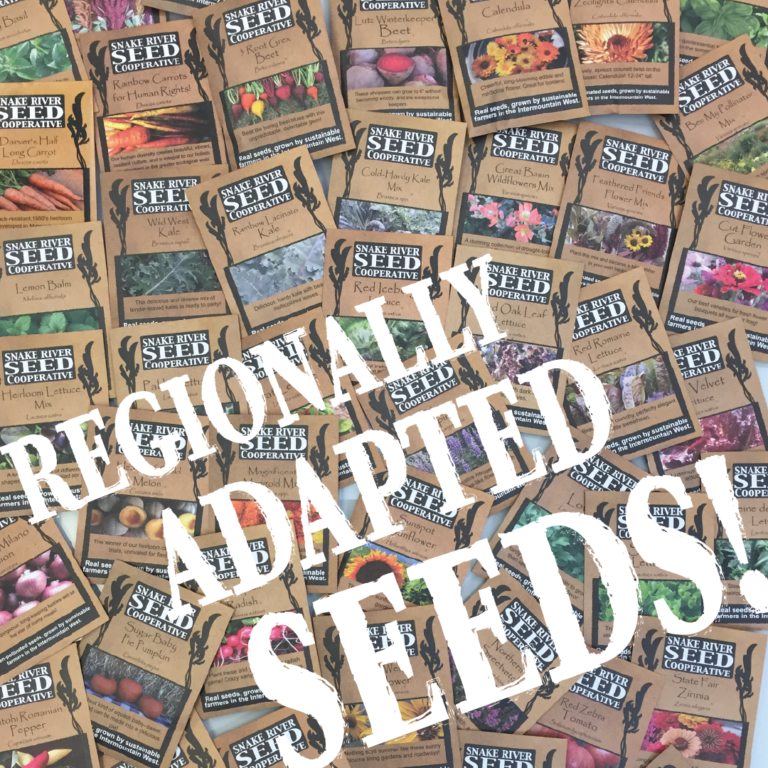Why Regionally Adapting Seed is Important! – Snake River Seed Cooperative