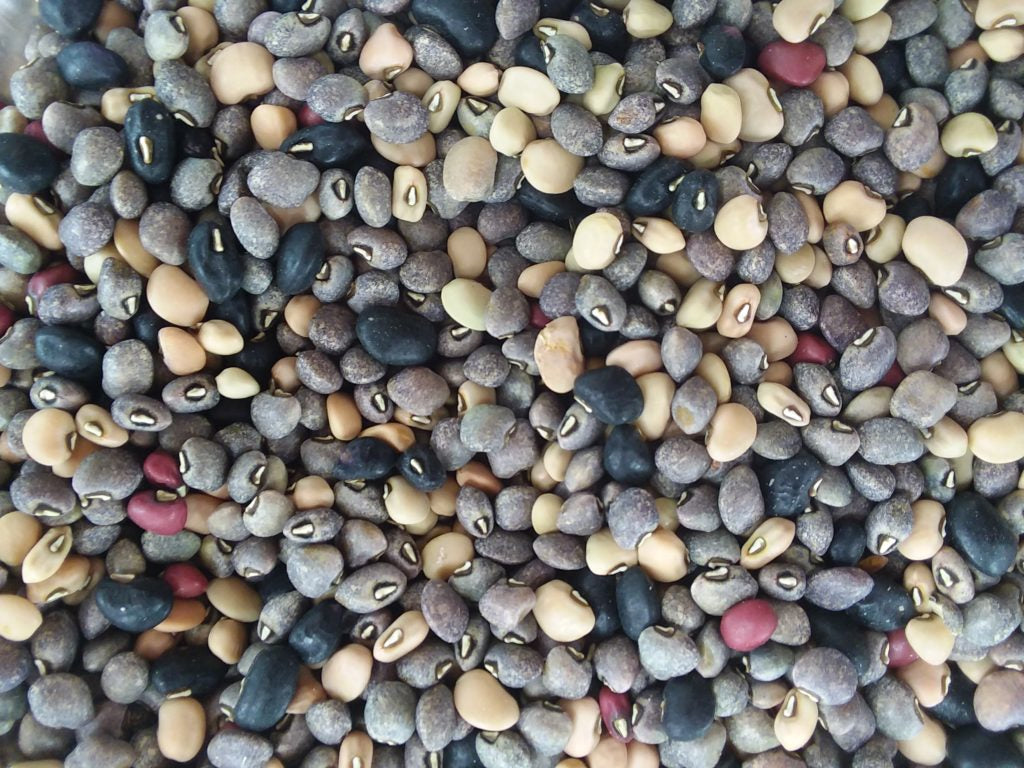 Cowpeas – Snake River Seed Cooperative