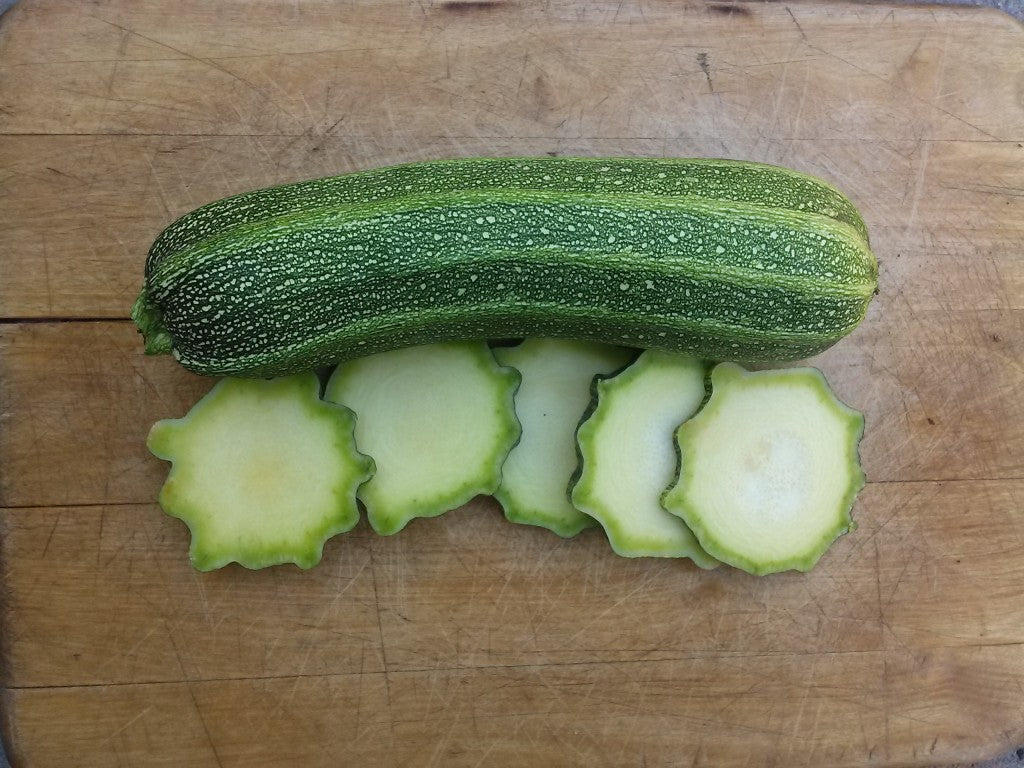 Zucchini – Snake River Seed Cooperative