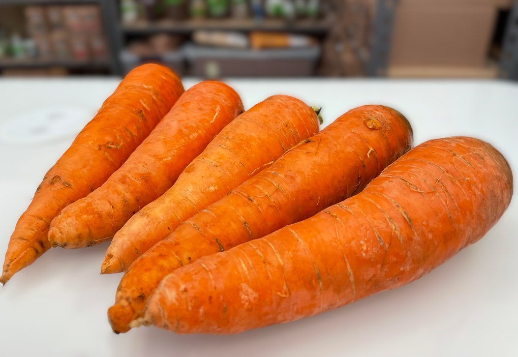 Carrot, Dulcinea – Snake River Seed Cooperative
