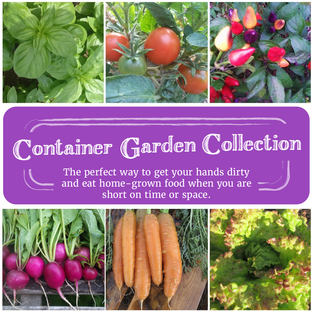 Container Garden Seed Collection – Snake River Seed Cooperative