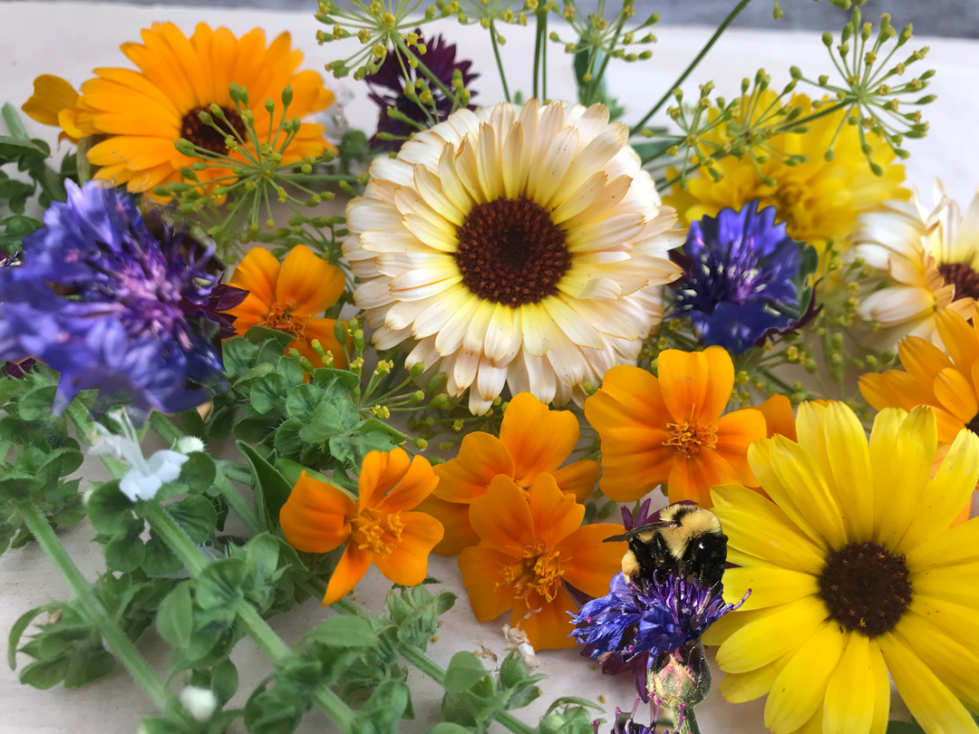 Flower Mix, Edible Flowers – Snake River Seed Cooperative