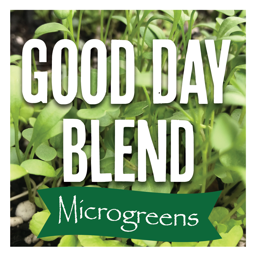 Microgreens Good Day Blend – Snake River Seed Cooperative
