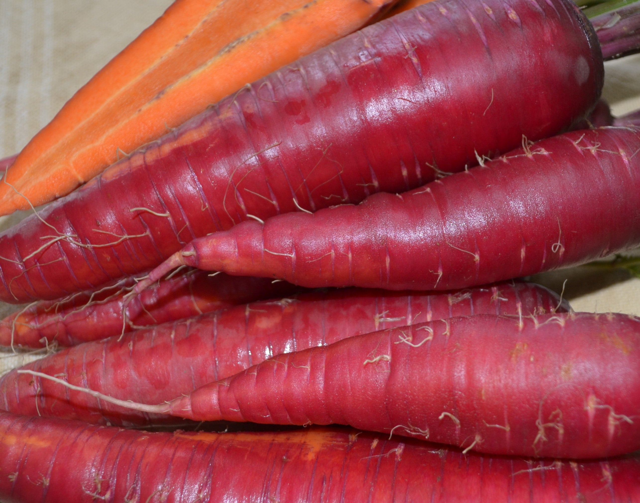Carrot, Rouge Sang Violette – Snake River Seed Cooperative