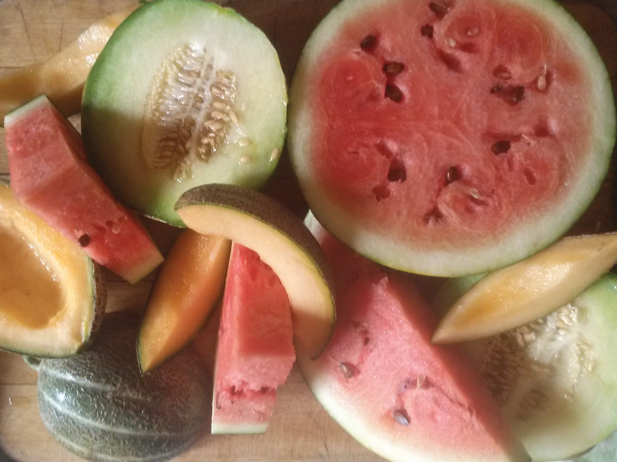 Melon, Sweet Summer Mix – Snake River Seed Cooperative