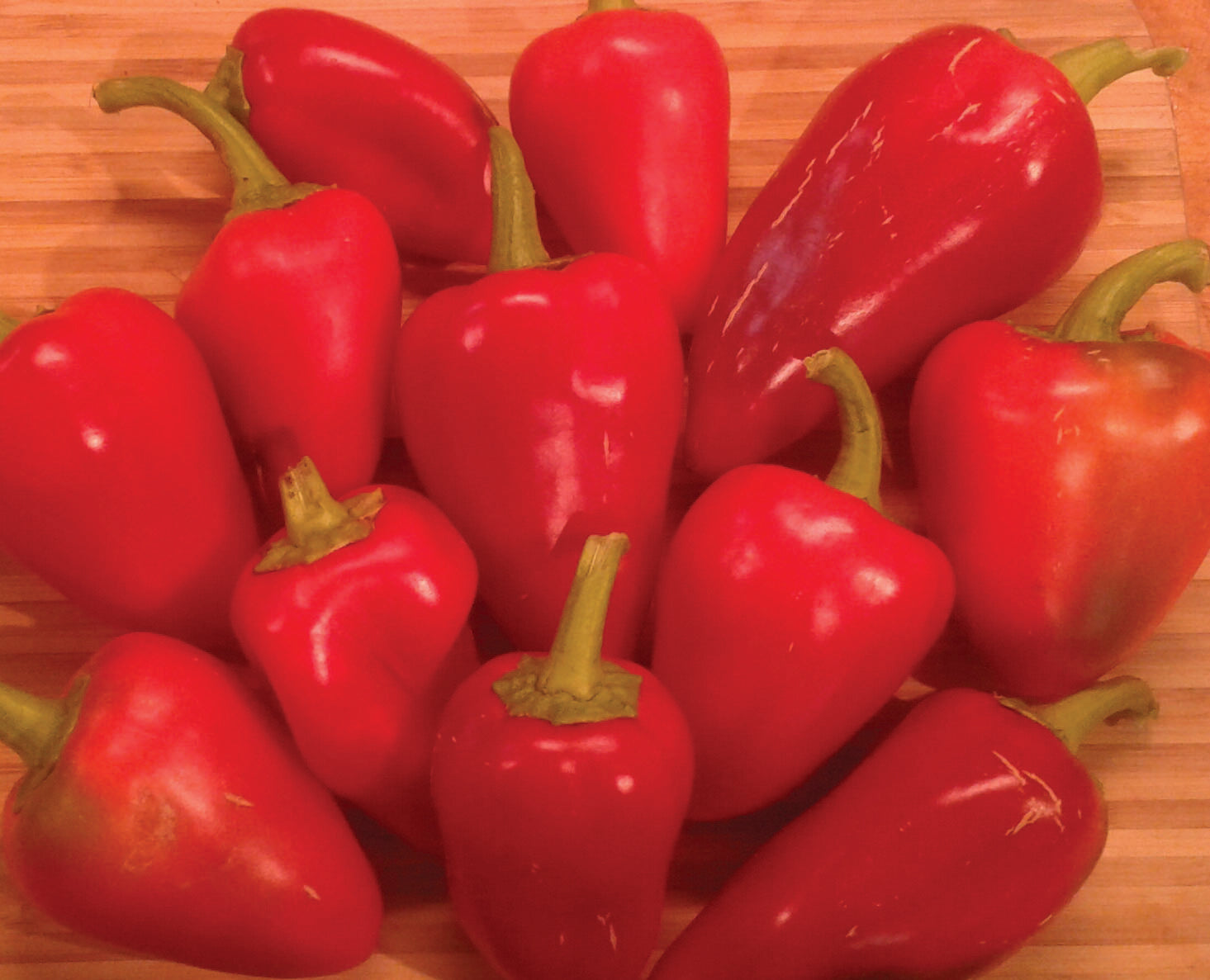 Pepper, Piquillo – Snake River Seed Cooperative