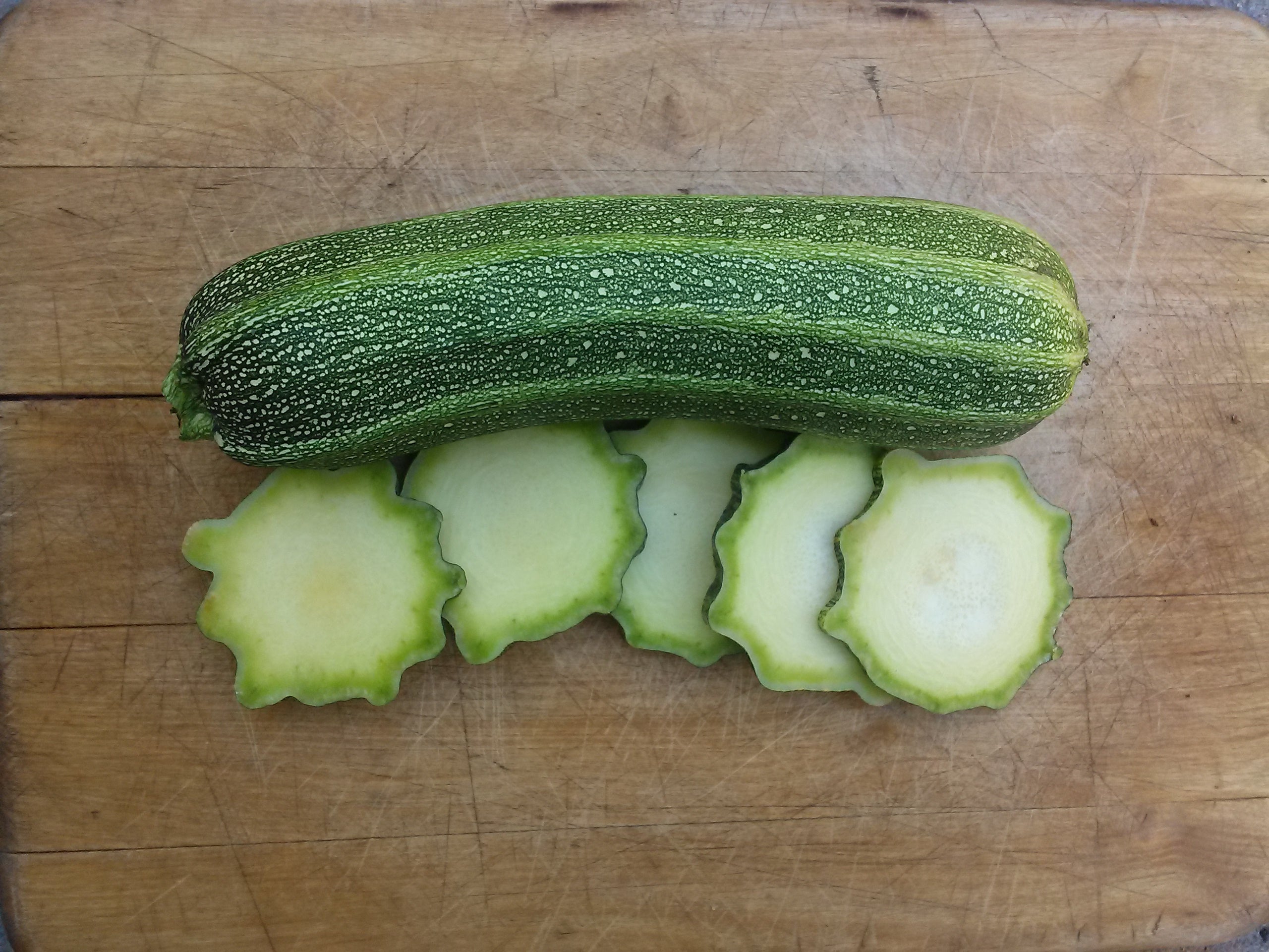 Zucchini, Costata Romanesco – Snake River Seed Cooperative