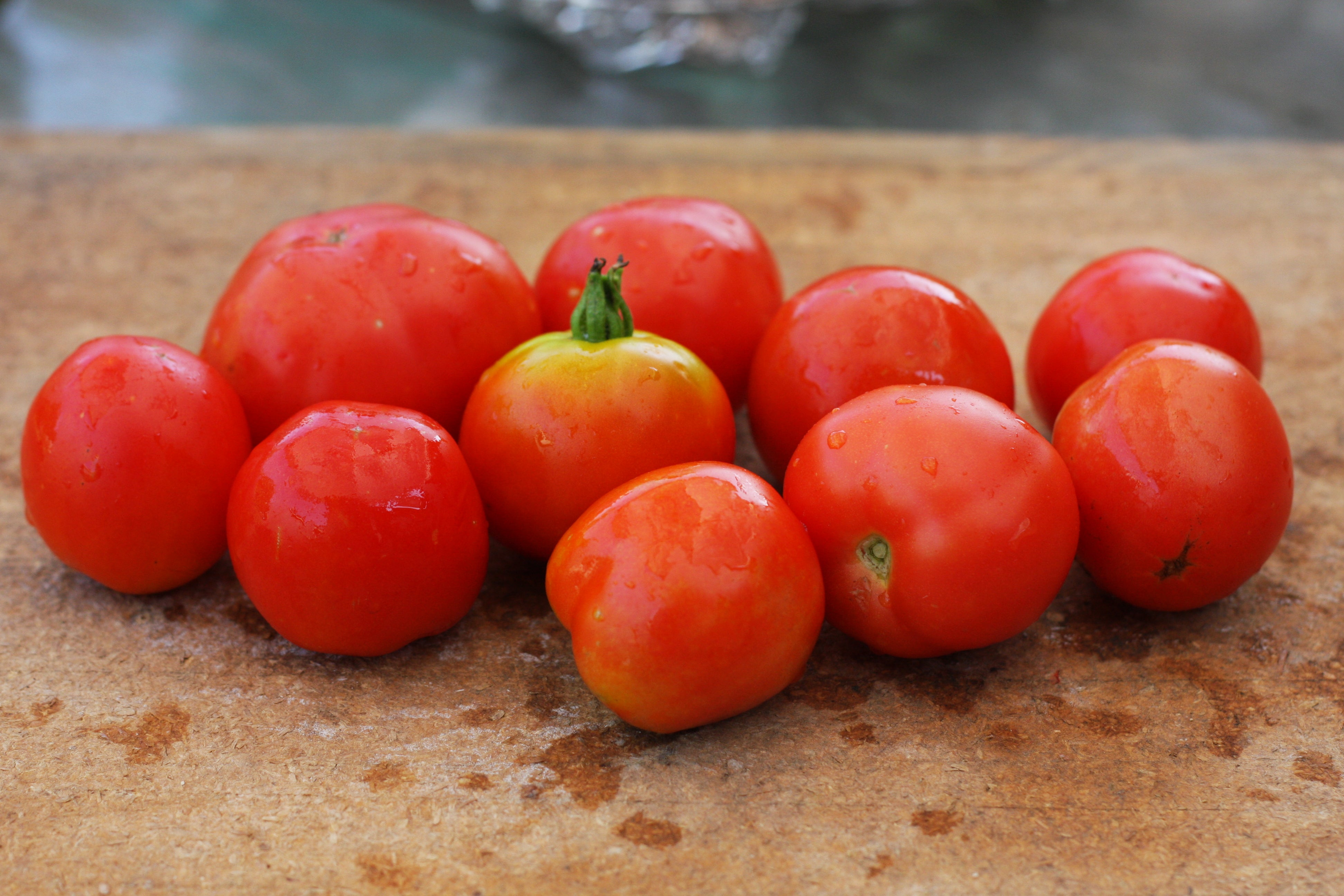 Tomato, Stupice – Snake River Seed Cooperative
